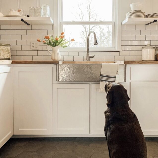 Designing a Pet-Friendly Kitchen: Tips and Ideas